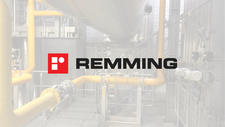REMMING - Novotek Radna Snaga